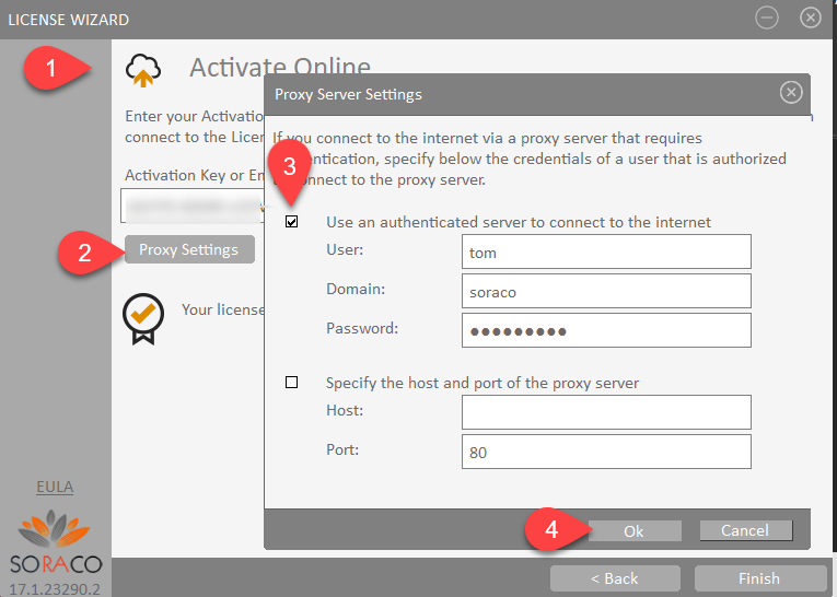 How to connect to the QLM License Server via a proxy server – Soraco Technologies